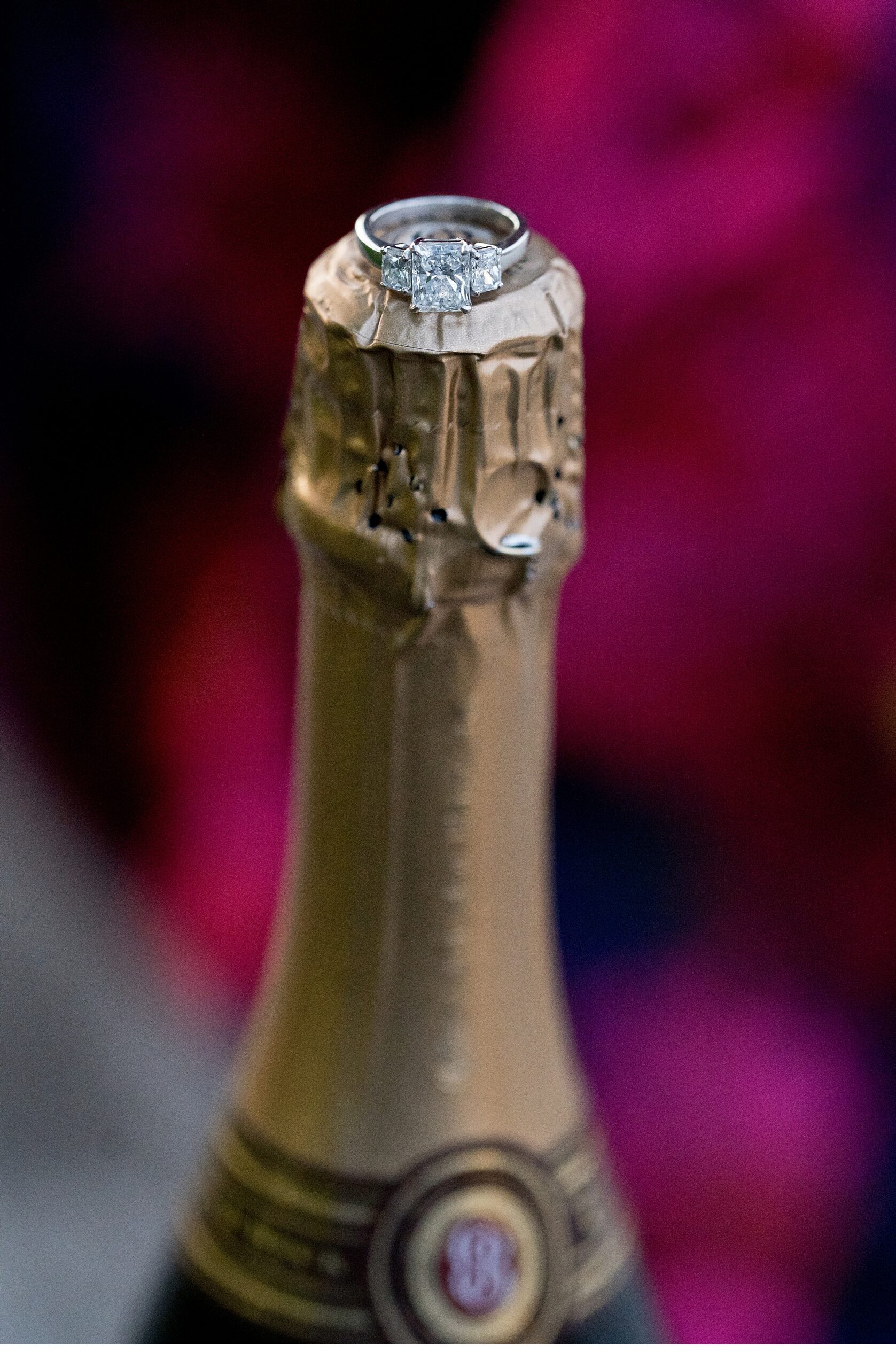 EVA & AMER : BOSTON PUBLIC GARDEN ENGAGEMENT SESSION - Justine Yandle ...